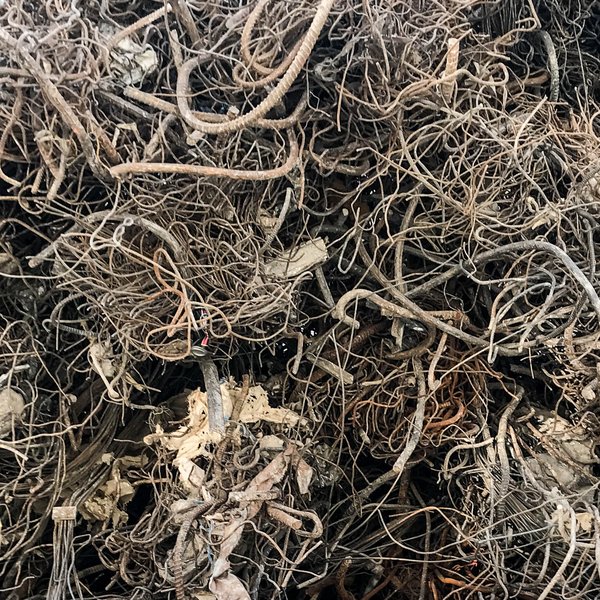 Packet / Steamer | FoAM